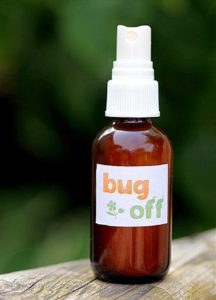 7 Simple + Effective DIY Natural Bug Spray Recipes