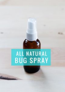 7 Simple + Effective DIY Natural Bug Spray Recipes