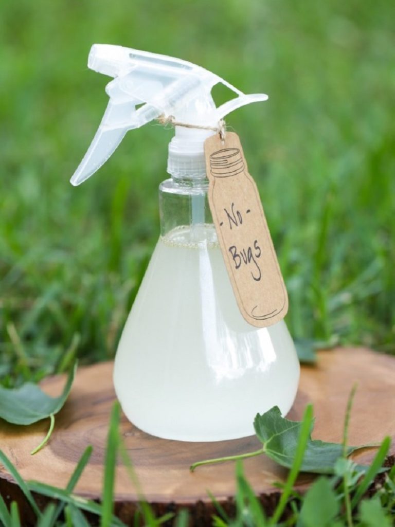 7 Simple + Effective DIY Natural Bug Spray Recipes